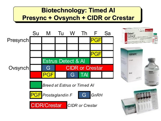 Profit through adopting technology in dairy herds