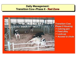 Transition cow, cow comfort and heat stress -- Jack Britt | PPT