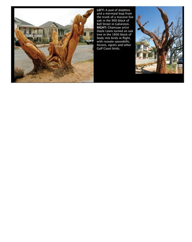 Jack Cross Tree Sculptures | PDF | Birdwatching | Hobbies & Interests