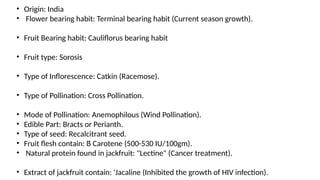 jackfruit.pptx jackfruit.pptxcultivation | PPTX