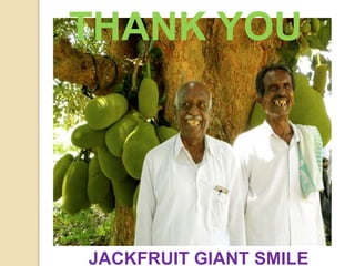 Jackfruit fruit cultivation | PPTX