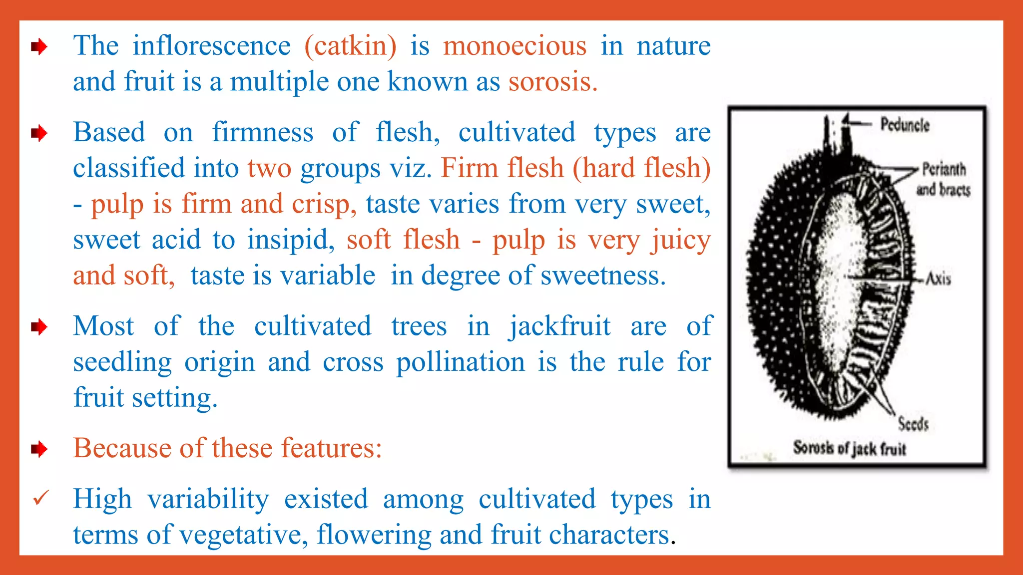 Jackfruit ppt.. | PDF