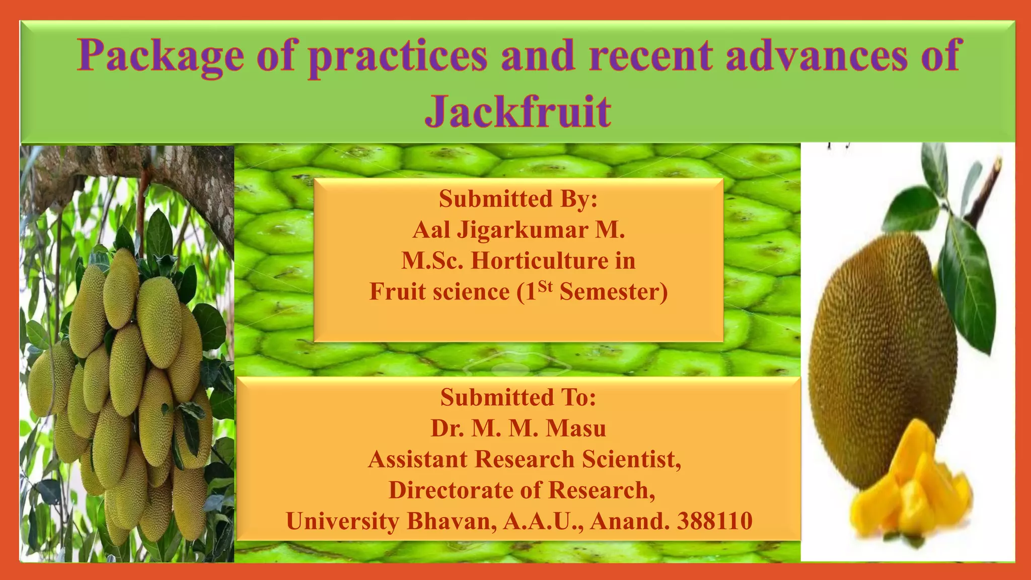 Jackfruit ppt.. | PDF