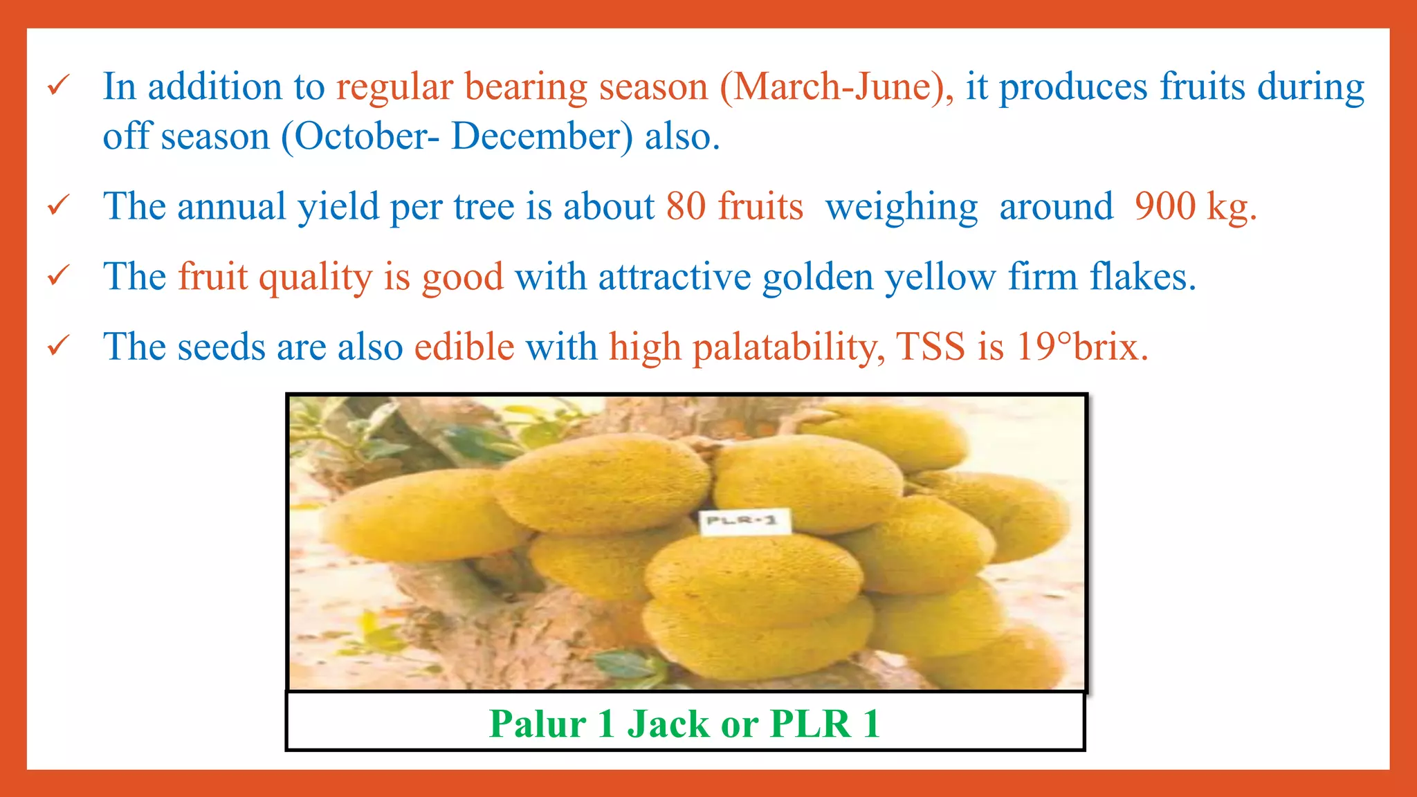 Jackfruit ppt.. | PDF