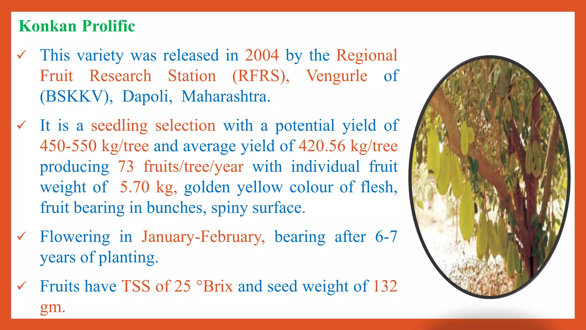 Jackfruit ppt.. | PDF