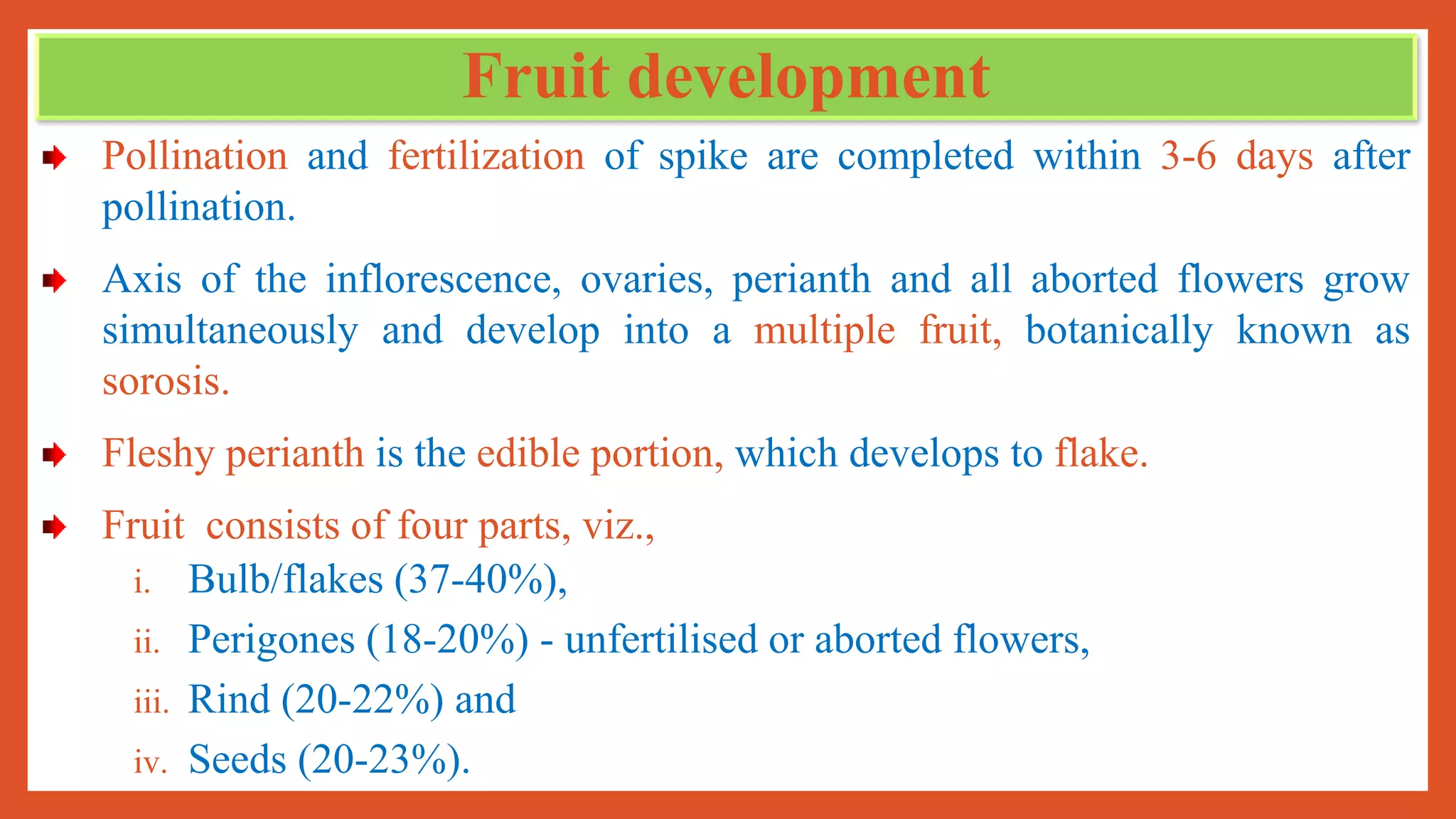 Jackfruit ppt.. | PDF
