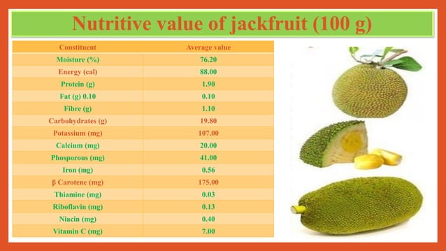 Jackfruit ppt.. | PDF