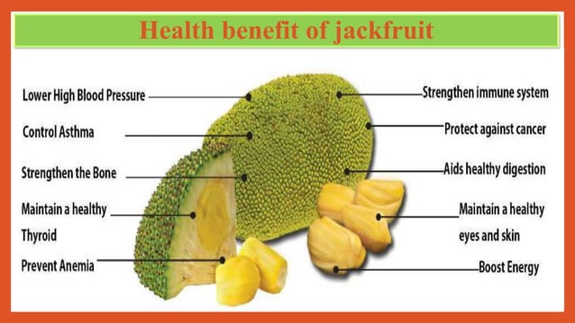 Jackfruit ppt.. | PDF