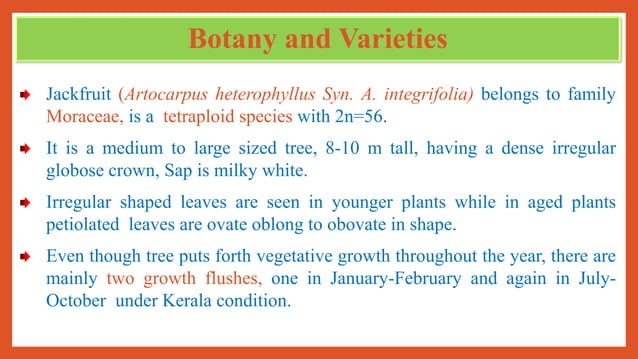 Jackfruit ppt.. | PDF