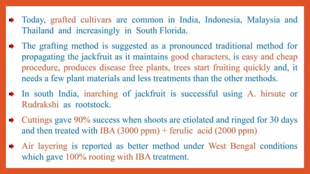 Jackfruit ppt.. | PDF