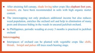 Jackfruit ppt.. | PDF