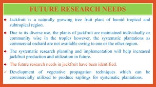 Jackfruit ppt.. | PDF