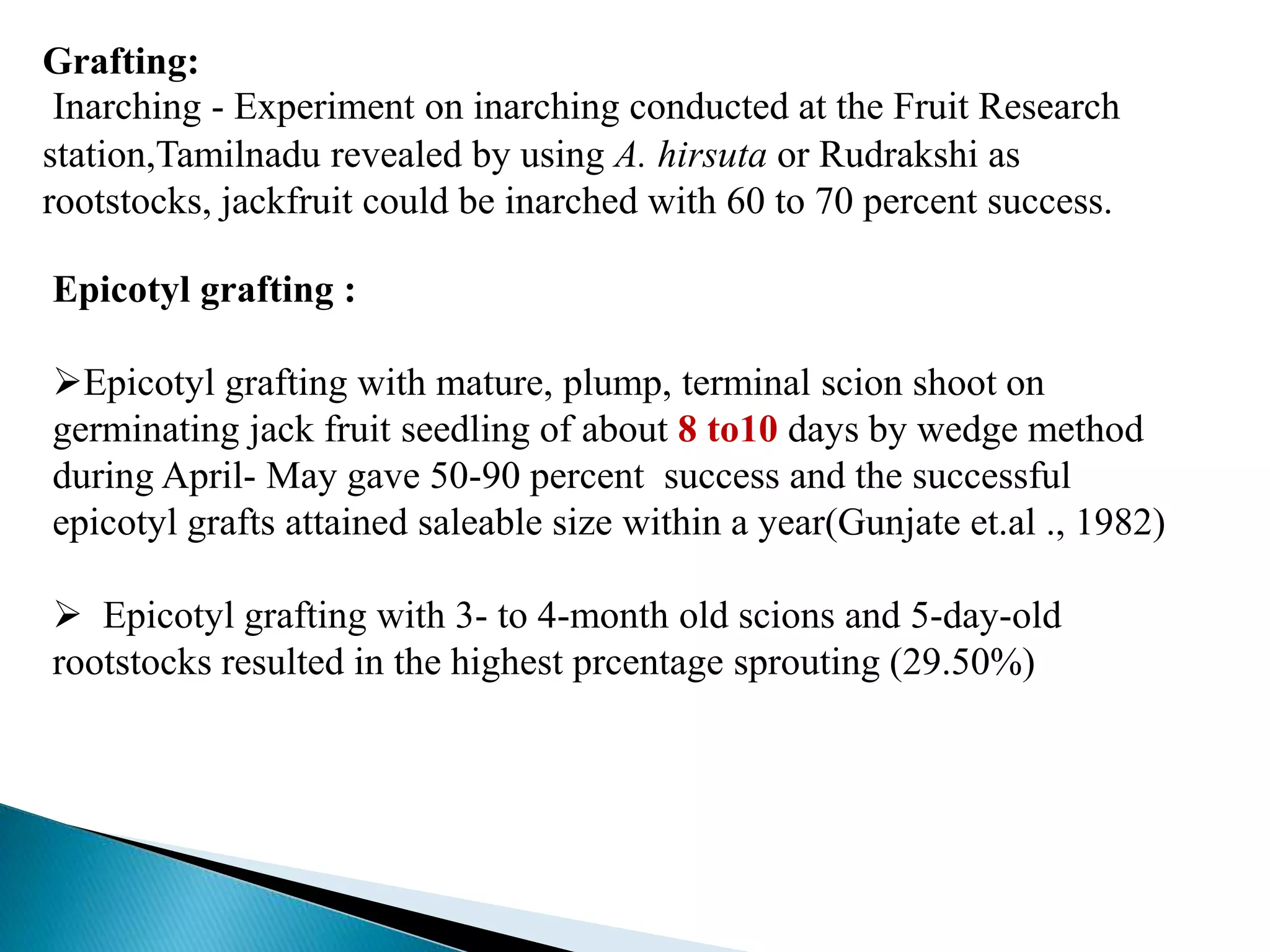 Jackfruit production technology | PPTX