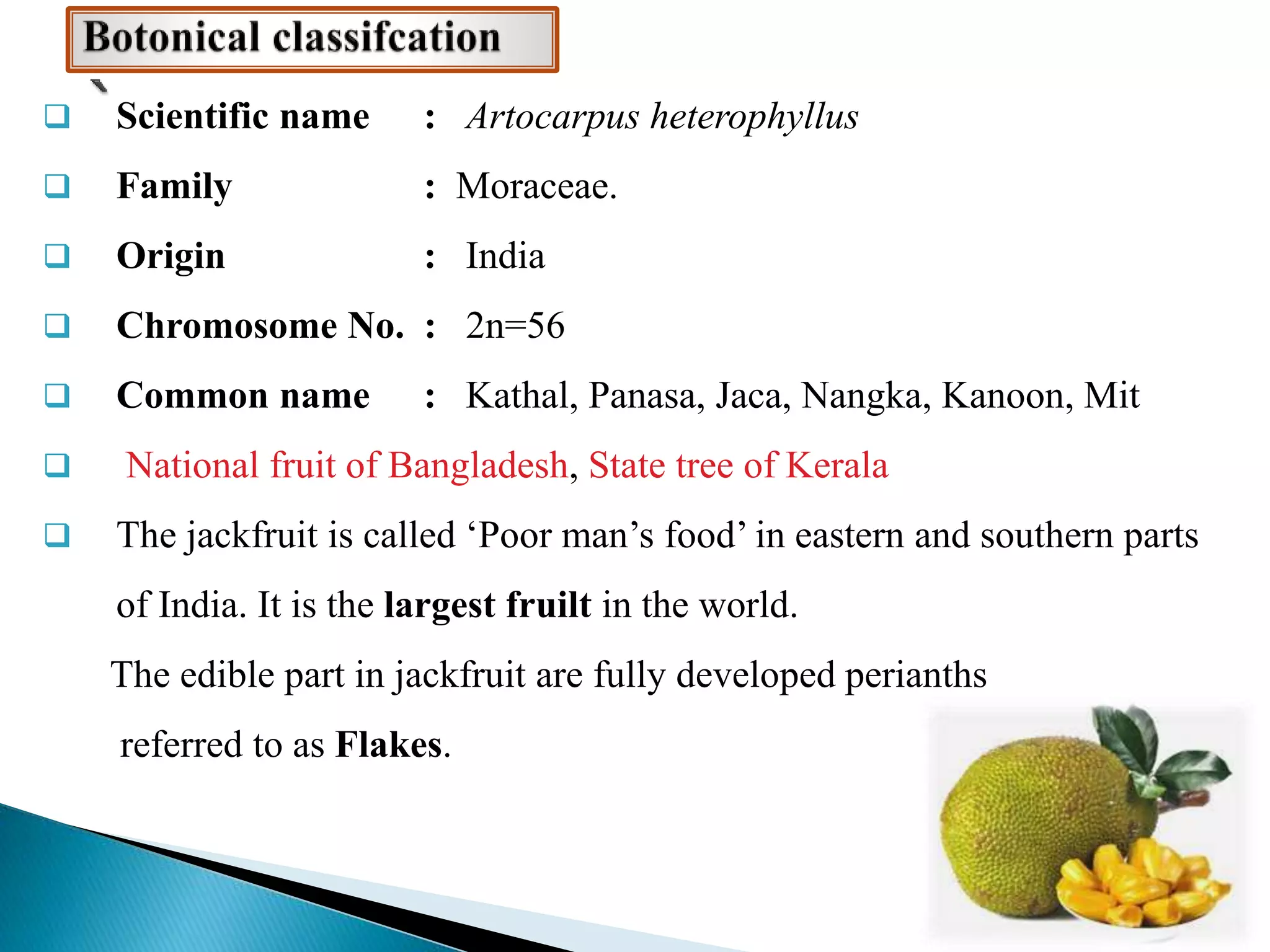 Jackfruit production technology | PPTX