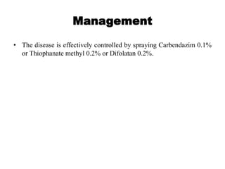 Diseases of Jackfruits | PPTX