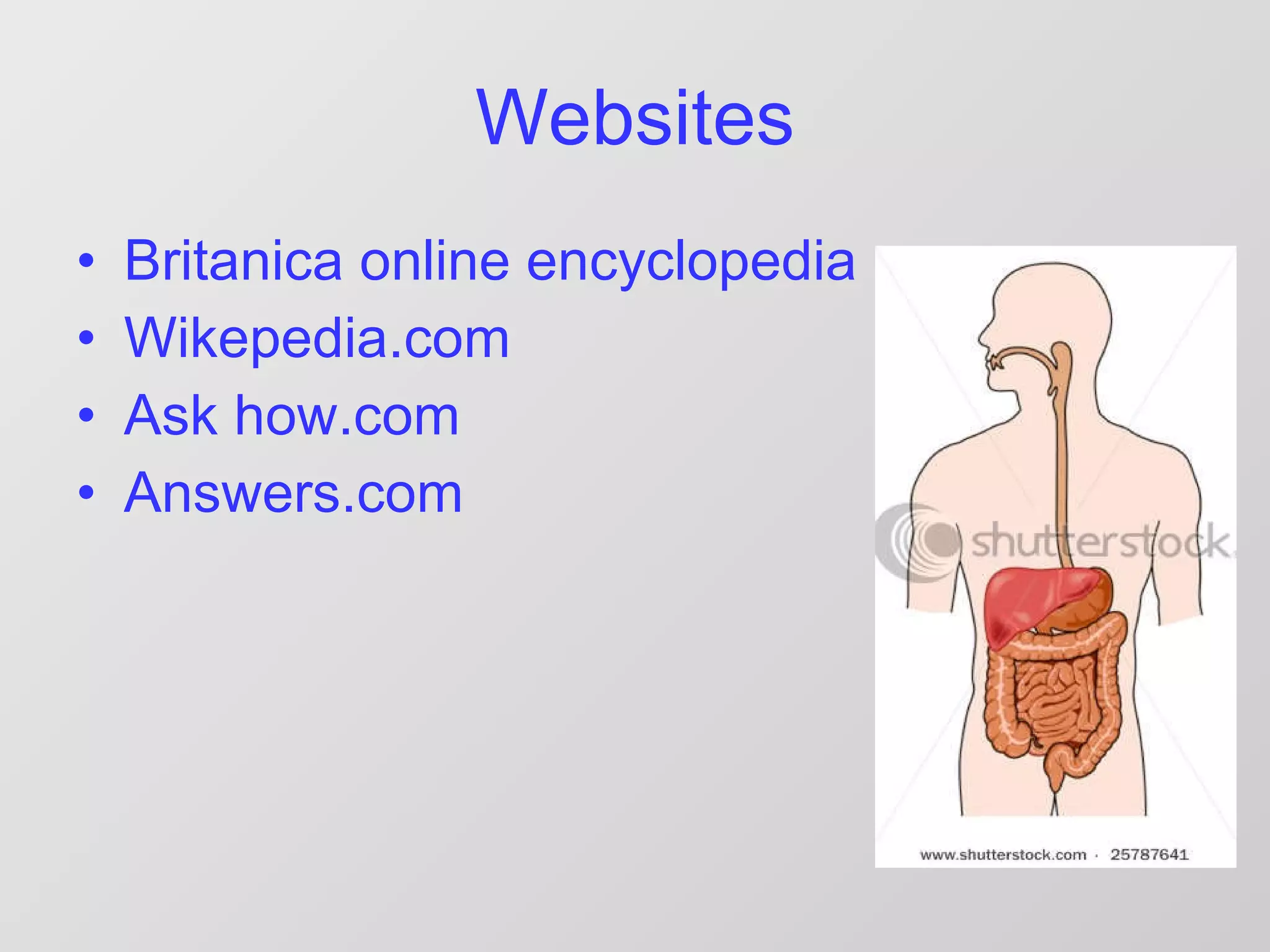 Jack murrell wright digestive system | PPT
