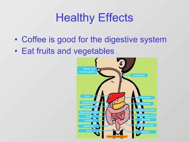 Jack murrell wright digestive system | PPT
