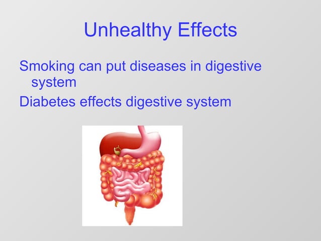 Jack murrell wright digestive system | PPT