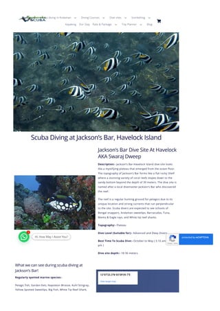 Explore Jackson’s Bar Incredible Dive Site on Havelock Island | PDF
