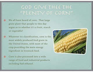 Jacob and Esau: a Tale of 2 Brothers | PDF