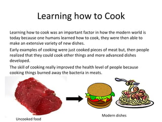 Jacob Cirulis | PPT | Cooking | Food & Drink