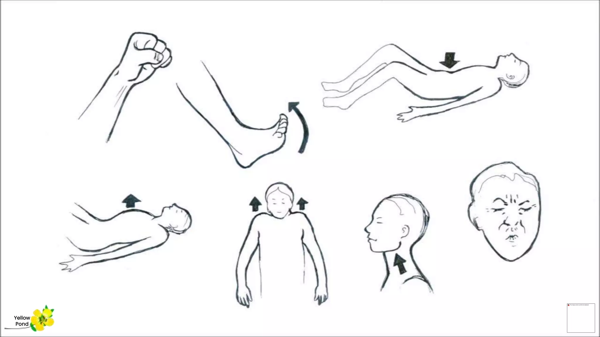 Jacobson's Progressive Muscle Relaxation Technique.pptx