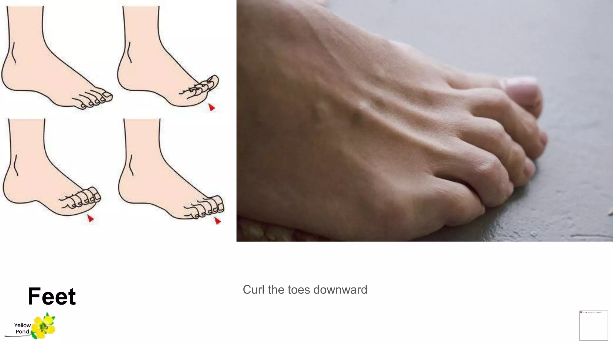 Jacobson's Progressive Muscle Relaxation Technique.pptx