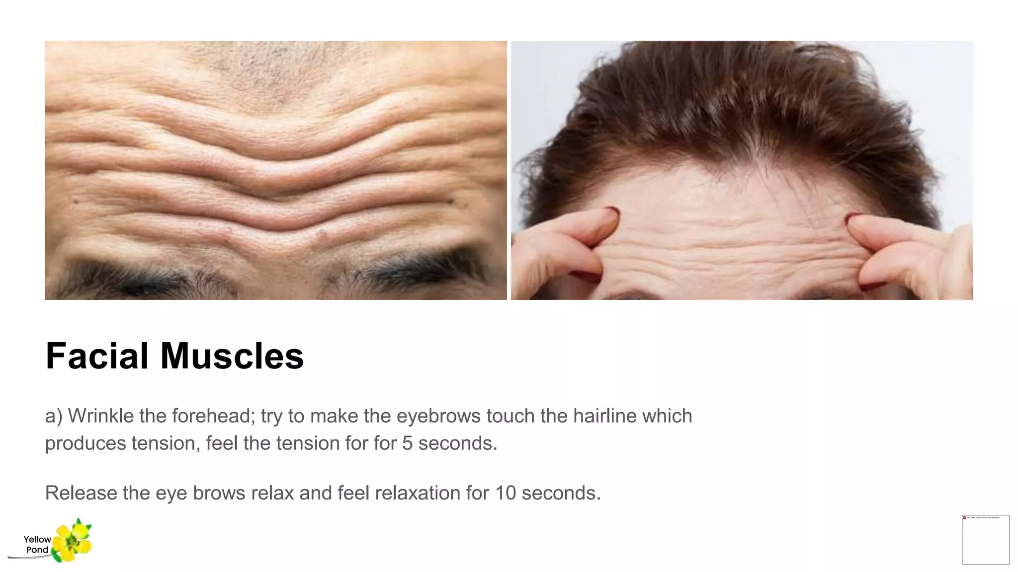 Jacobson's Progressive Muscle Relaxation Technique.pptx | Physical ...