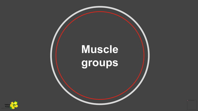 Jacobson's Progressive Muscle Relaxation Technique.pptx | Physical ...