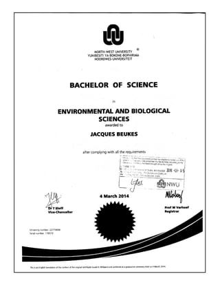 J Beukes CV | PDF