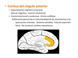 jacubovich_teo9_emocion.ppt.emociones emociones | PPT