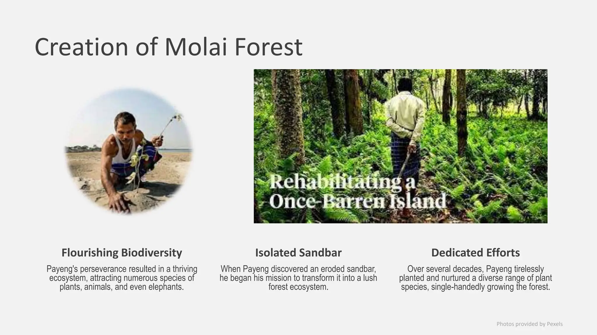 The Transformative Environmental Legacy of Jadav Payeng: A Journey from ...