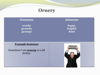 Walk Two Moons Vocabualry Web | PPT