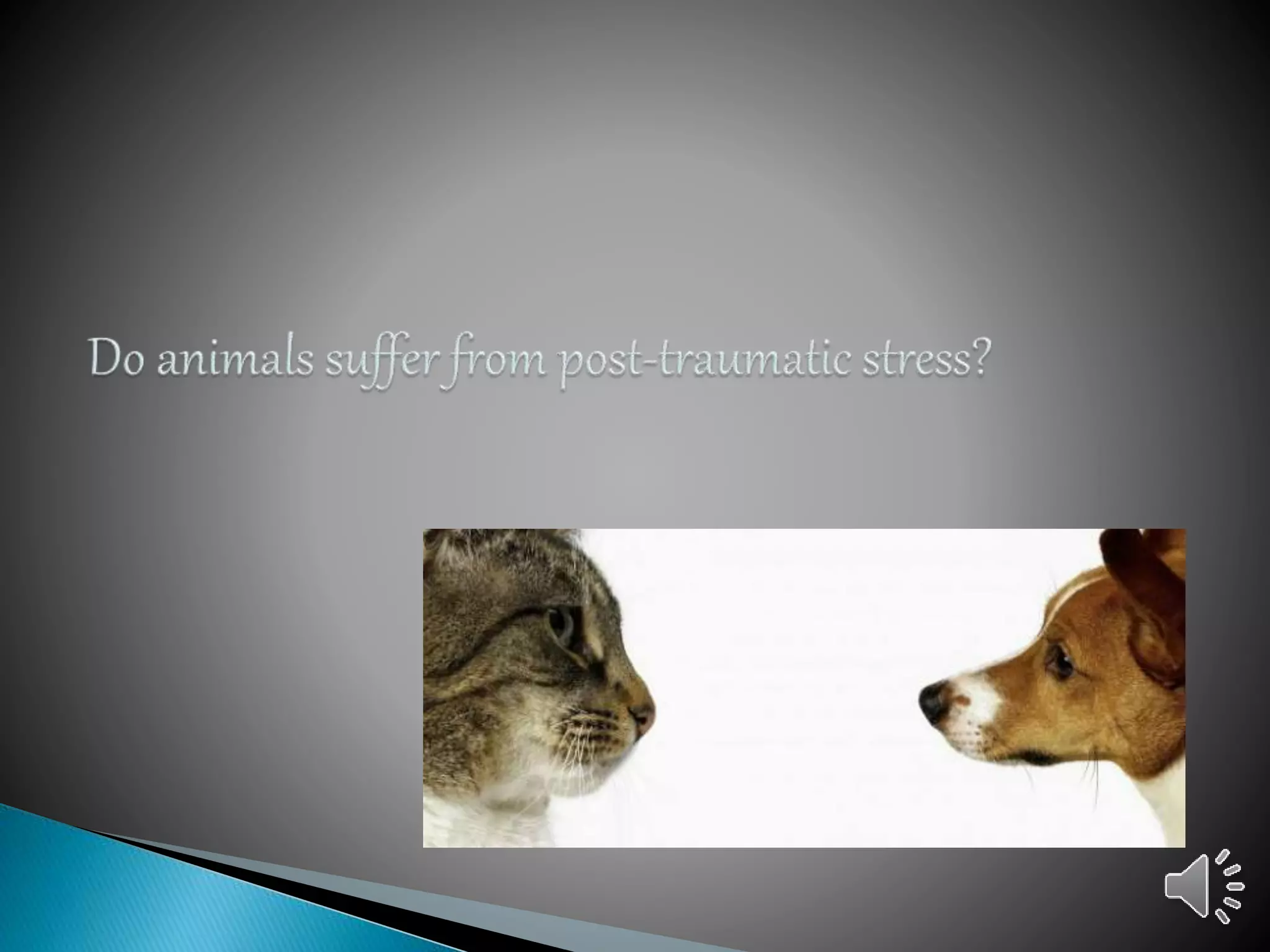 Do animals suffer from post-traumatic stress? | PPT