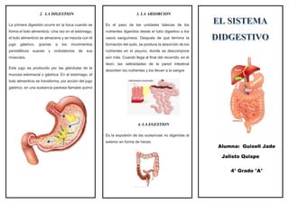 triptico del sistema digestivo para nivel primaria.docx
