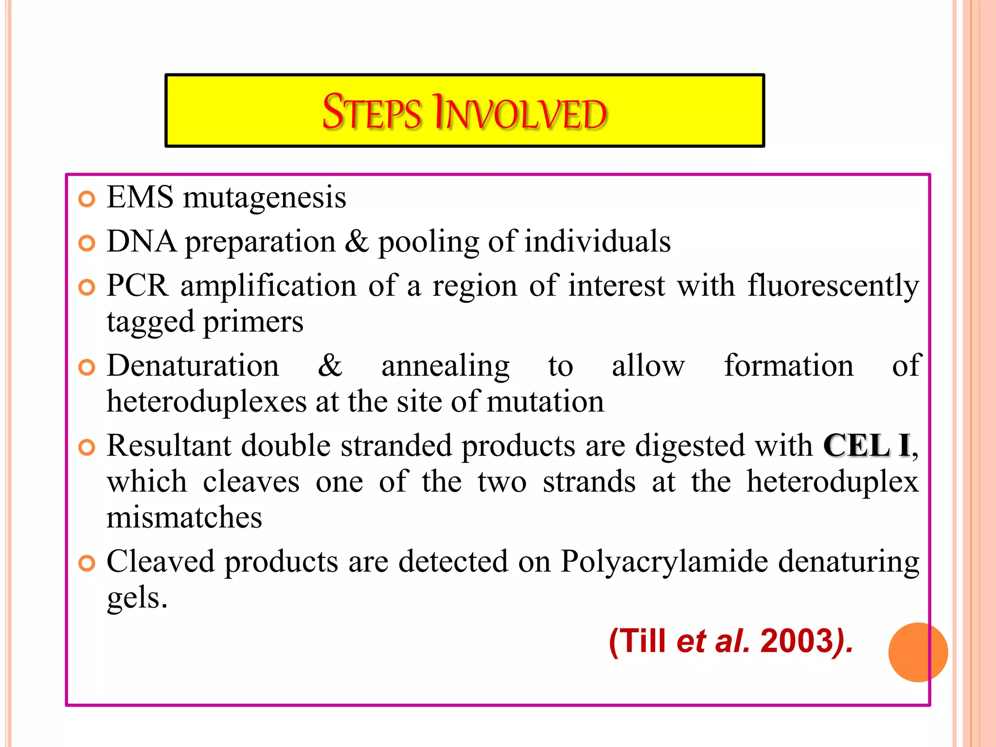 TILLING & Eco-TILLING : Reverse Genetics Approaches for Crop ...