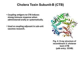 Enhancement Soluble of Recombinant Cholera Toxin B by Co-expression ...
