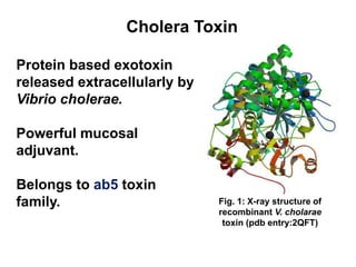 Enhancement Soluble of Recombinant Cholera Toxin B by Co-expression ...