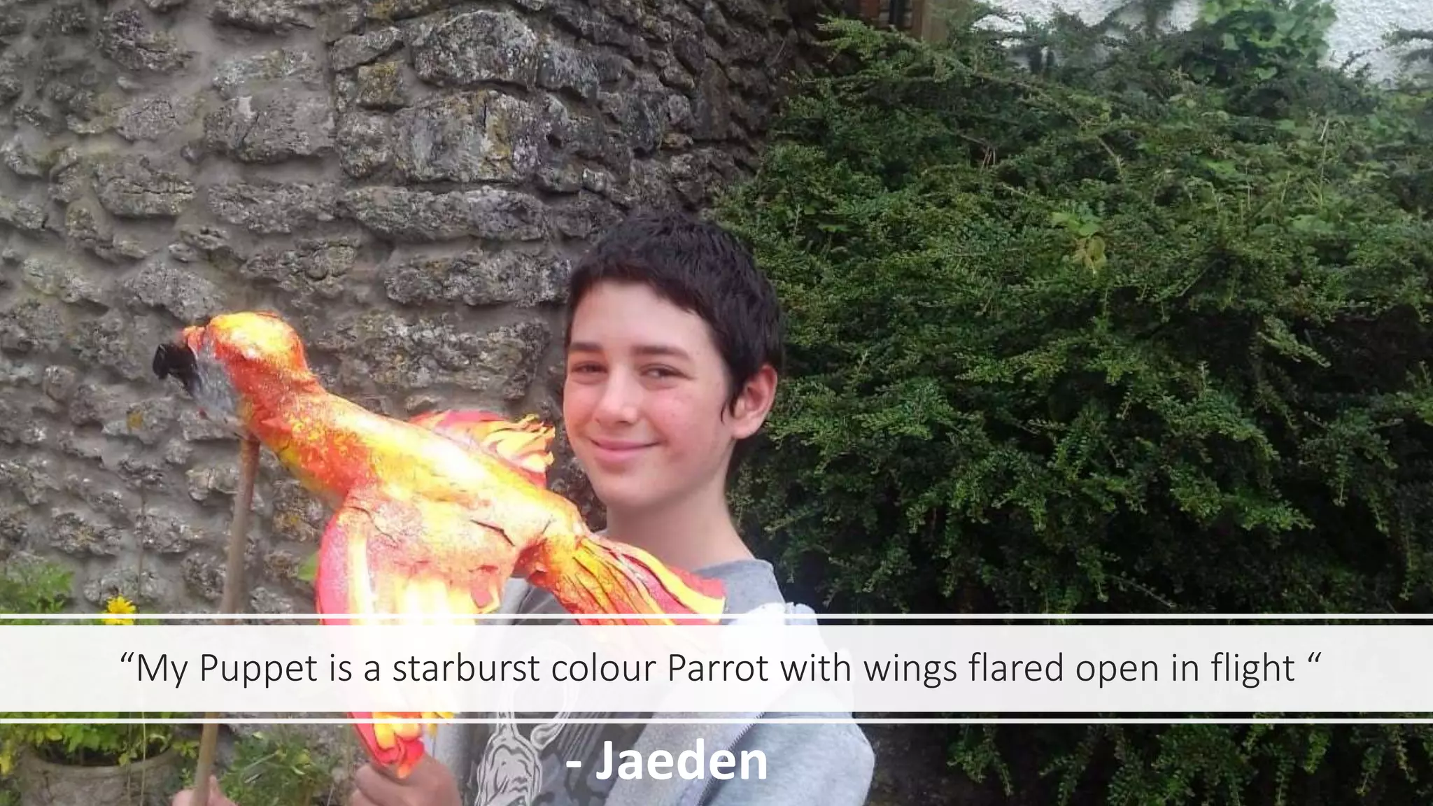 Jaeden's puppet | PPT