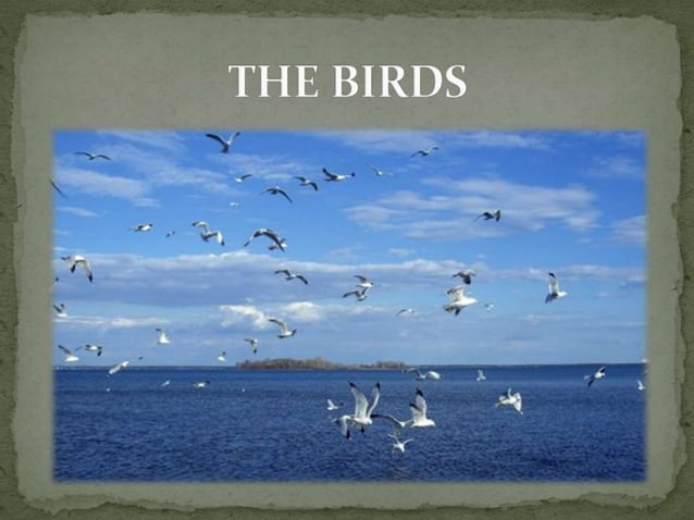 The birds. Víctor. 2nd grade. | PPT