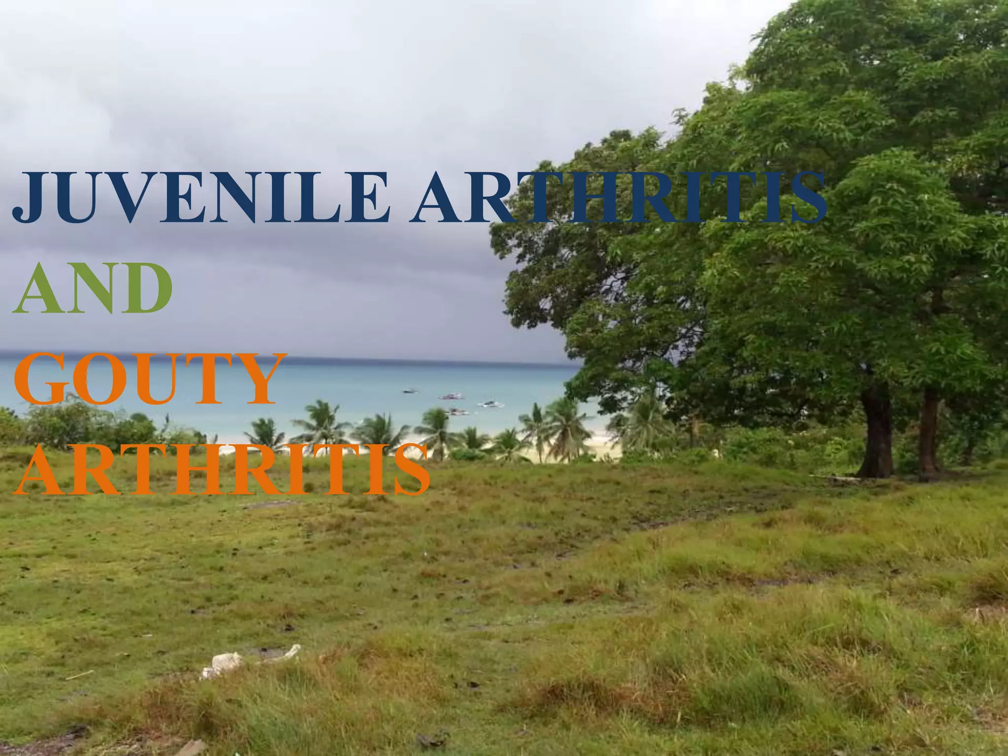 juvenile and gouty arthritis | PPT