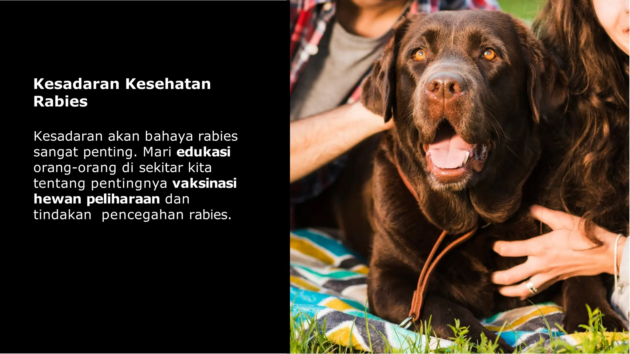 Jaga kesehatan hewan, ayo cegah rabies!.pptx