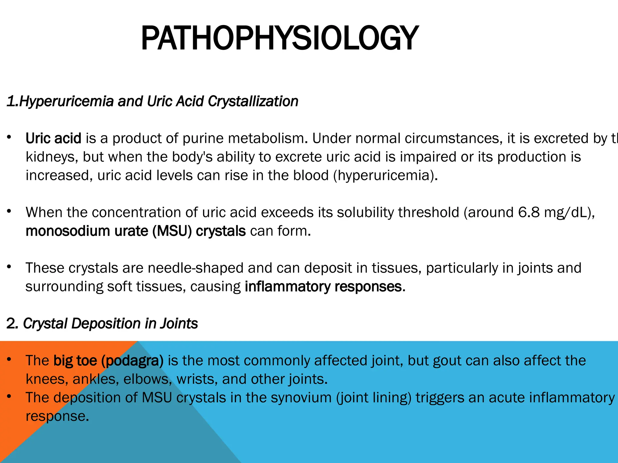 Pathophysiology of Gout: Unraveling the Mechanisms Behind the Crystal-Induced Joint Disorder | PPTX