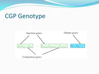 Cartesian Genetic Programming | PPT