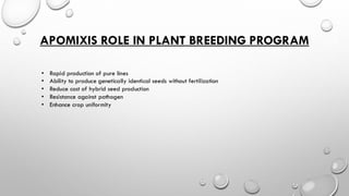 Apomixis of asexual reproduction in plants (2).pdf