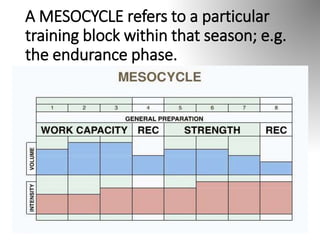 ANNUAL TRAINING PLAN | PPTX
