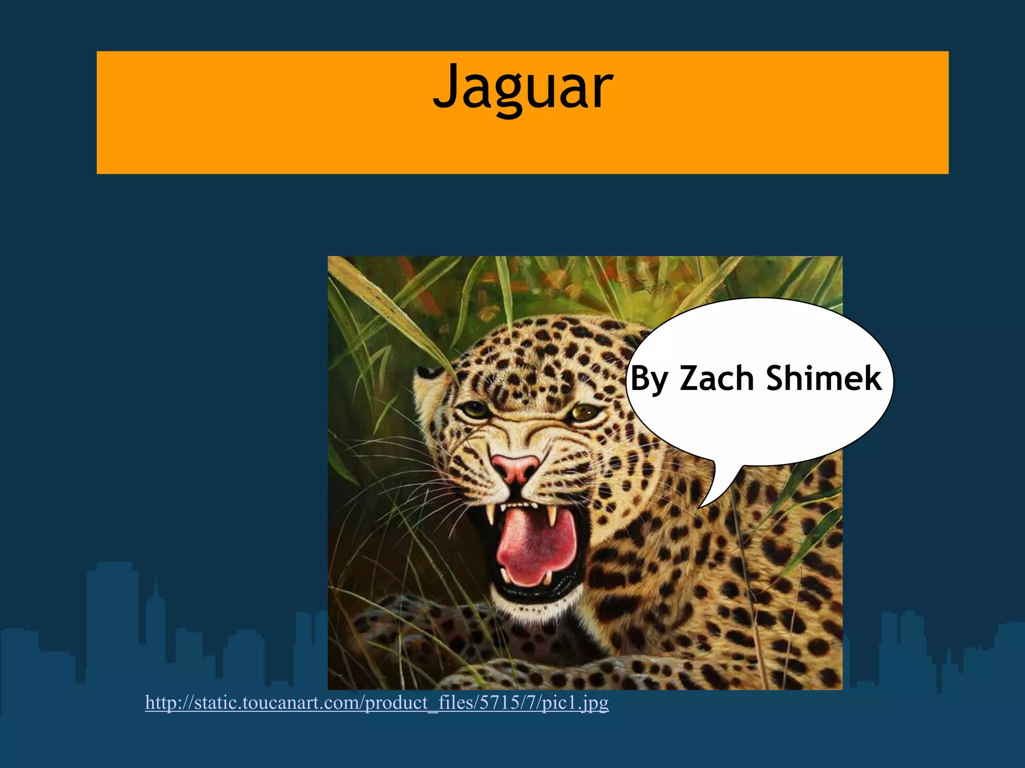 Zach Shimek Per. 6 Jaguar | PPT