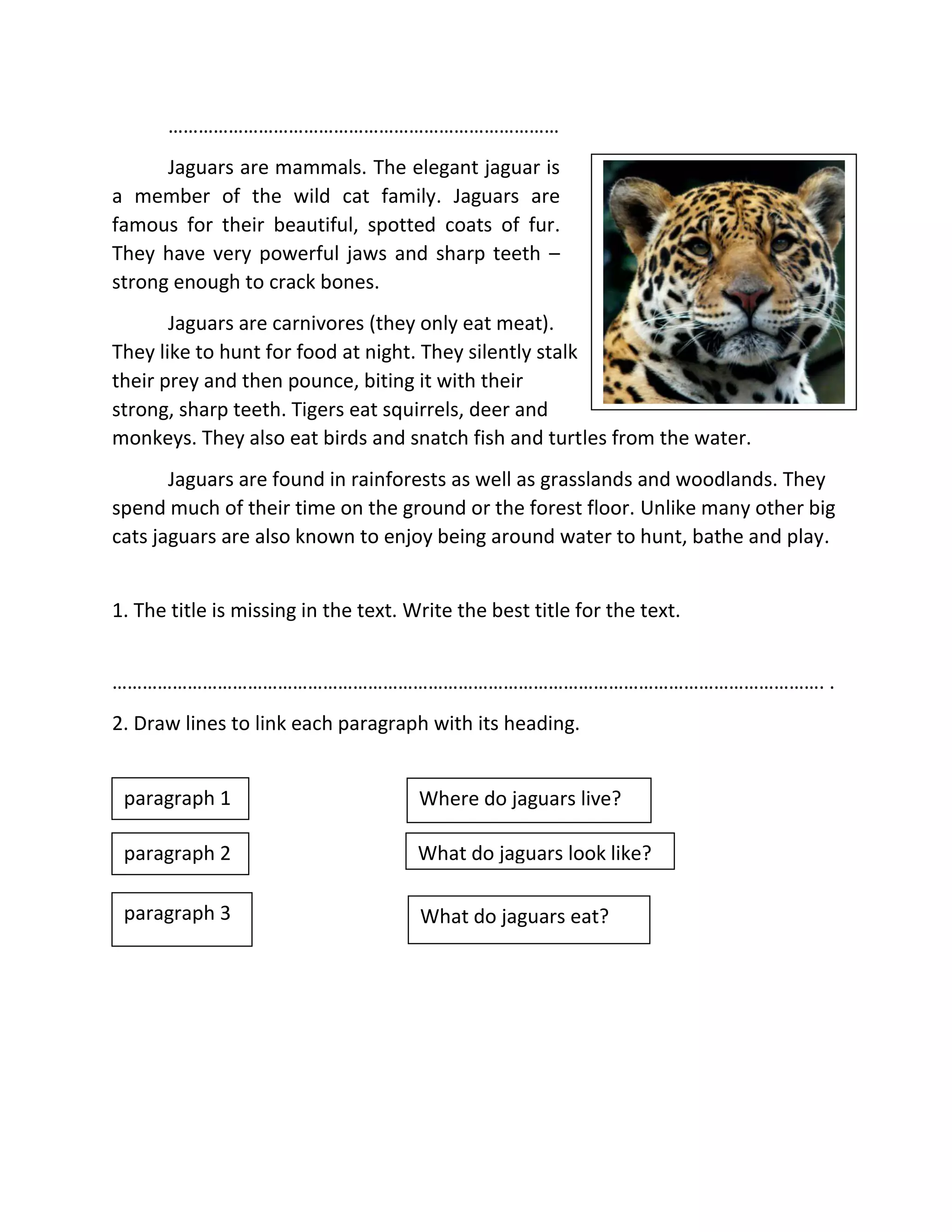 Jaguar reading comprehension.pdf