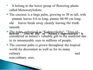 Jahangir Ahmad wani (Coconut breeding) .pptx