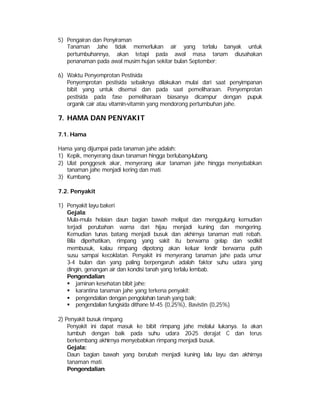Jahe | PDF